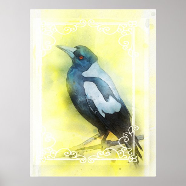 Magpie Posters & Prints | Zazzle UK