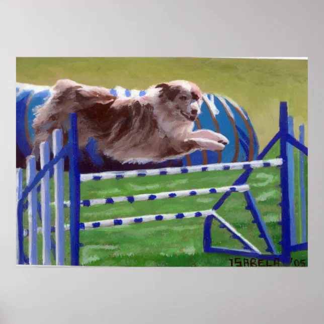 Australian Shepherd Agility Dog Portrait Poster | Zazzle