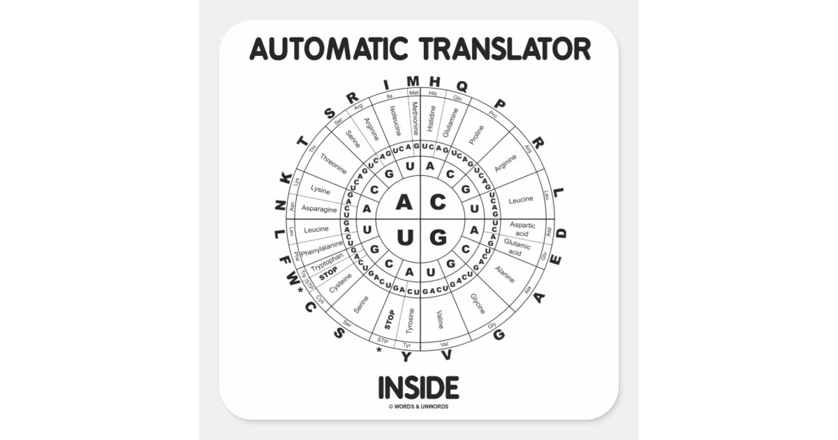 Automatic Translator Inside (RNA Codon Wheel) Square Sticker | Zazzle