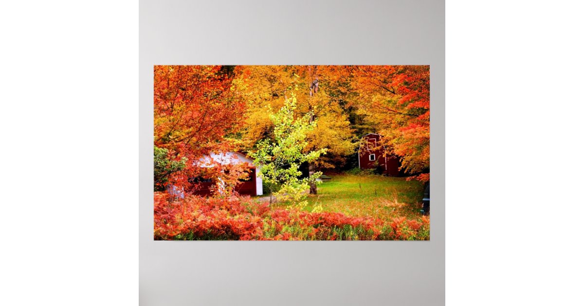 Autumn Landscape Poster | Zazzle