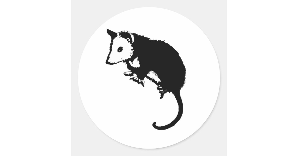 Awesome Possum Opossum Classic Round Sticker | Zazzle