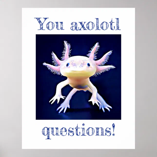 Axolotl Salamander Amphibian Poster | Zazzle