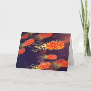 Microbiology Cards | Zazzle UK