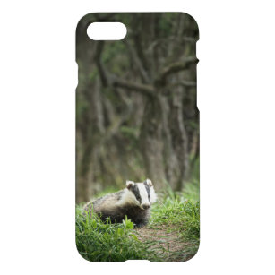 Badger iPhone Cases & Covers | Zazzle.co.uk