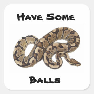 Python Stickers & Labels | Zazzle UK