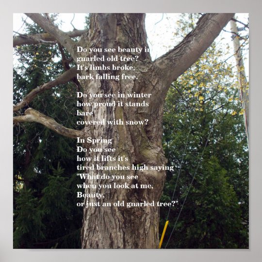 Bare Tree Poem for Arbor Day Poster | Zazzle.co.uk