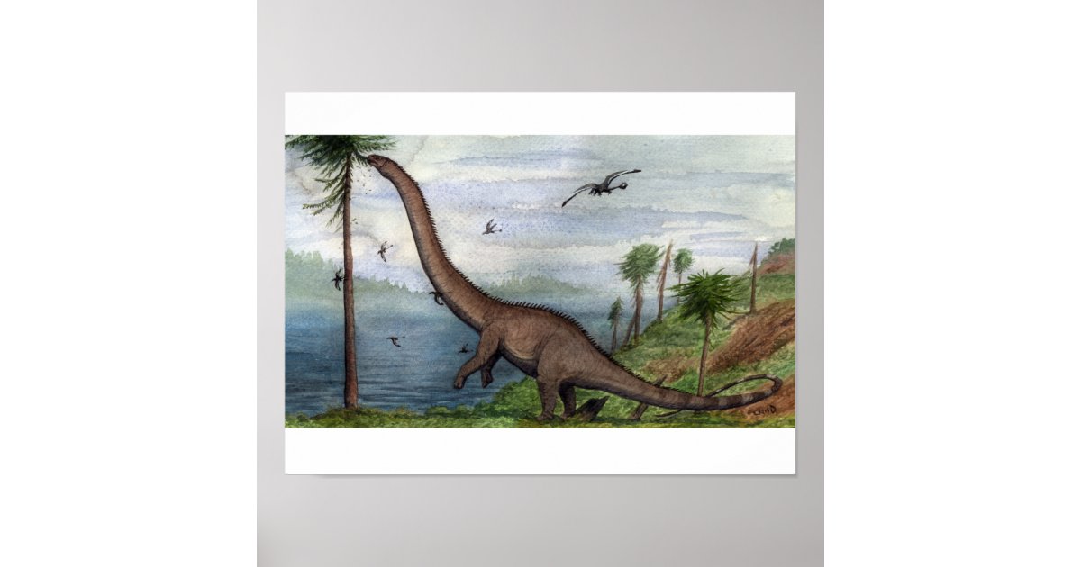 Barosaurus Pint Poster | Zazzle