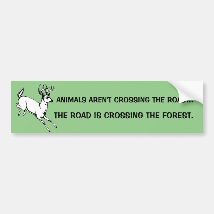 Be Nice to Animals Bumper Sticker | Zazzle.co.uk