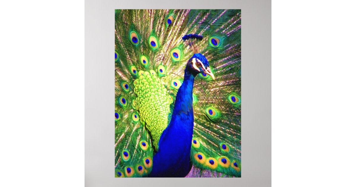 Be Strong_Poster Poster | Zazzle