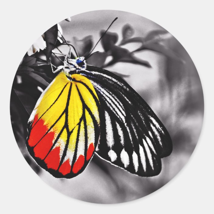 Beautiful Butterfly Classic Round Sticker | Zazzle.co.uk