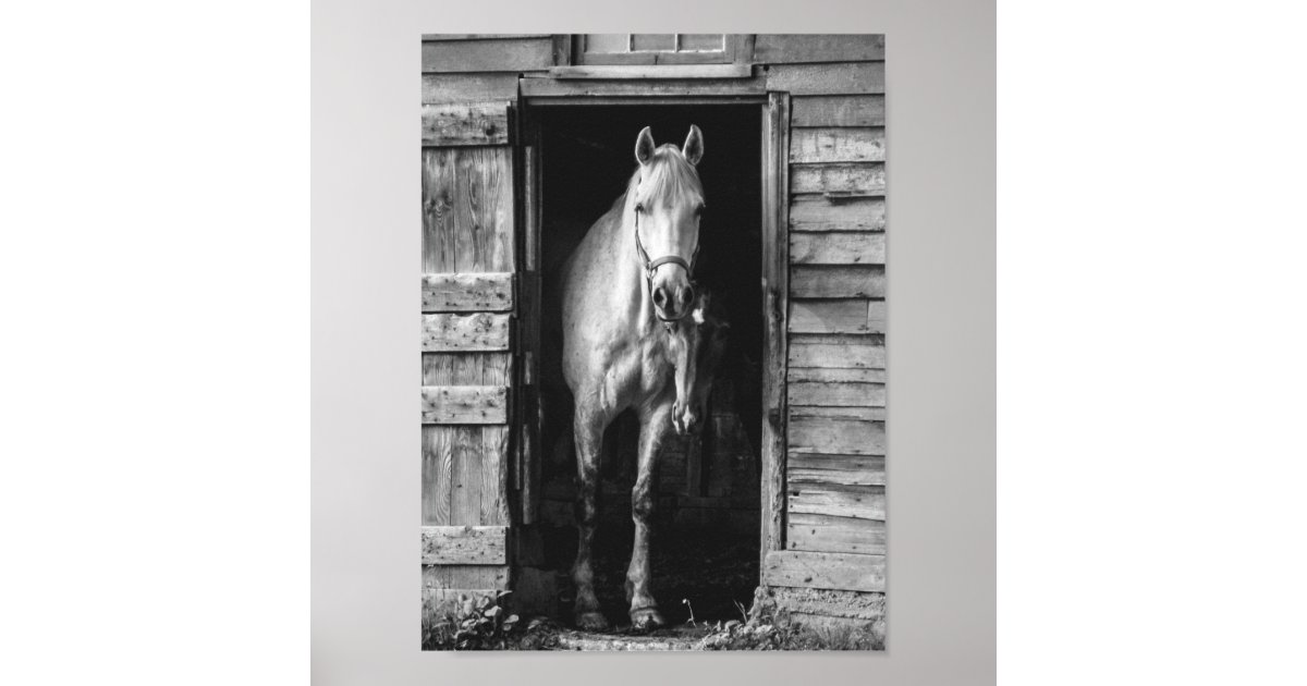 Beautiful Horses Black and White Rustic Farmhouse Poster | Zazzle