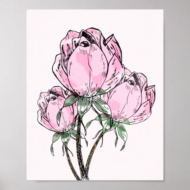 Beautiful Pink Hand Drawn Roses Poster | Zazzle