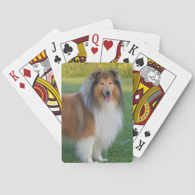 Beautiful Rough Collie Dog Playing Cards | Zazzle