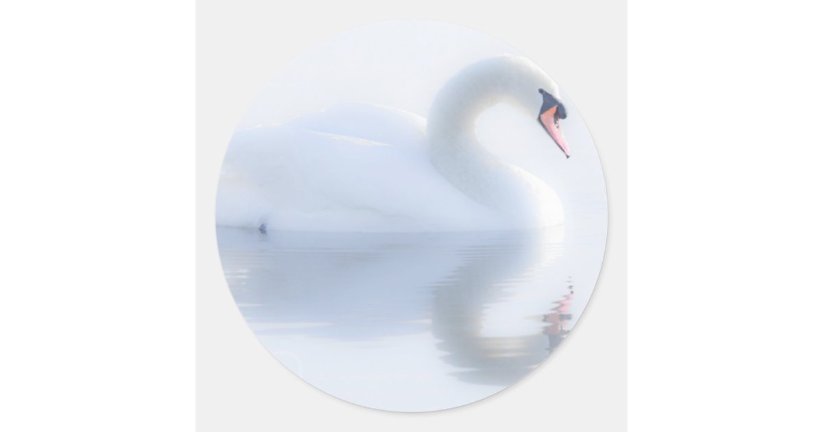 Beautiful Swan Stickers | Zazzle
