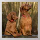 Beautiful Vice Sporting Dogs Poster | Zazzle
