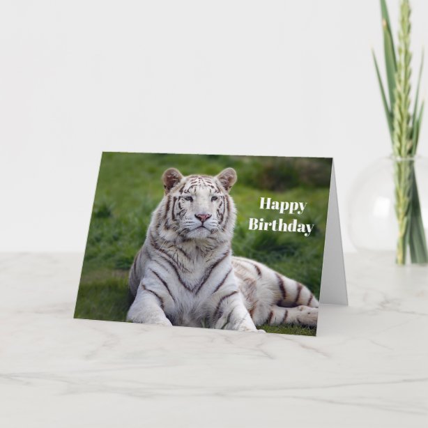 Tiger Birthday Cards | Zazzle UK