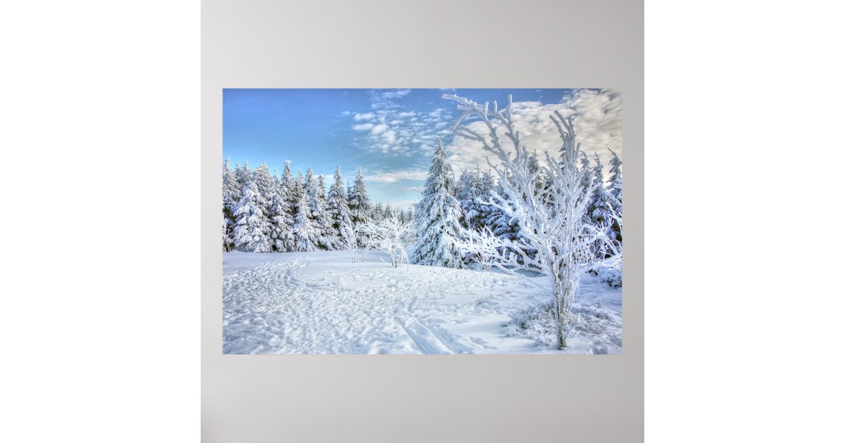 Beautiful Winter Snow Forest Scene Poster | Zazzle