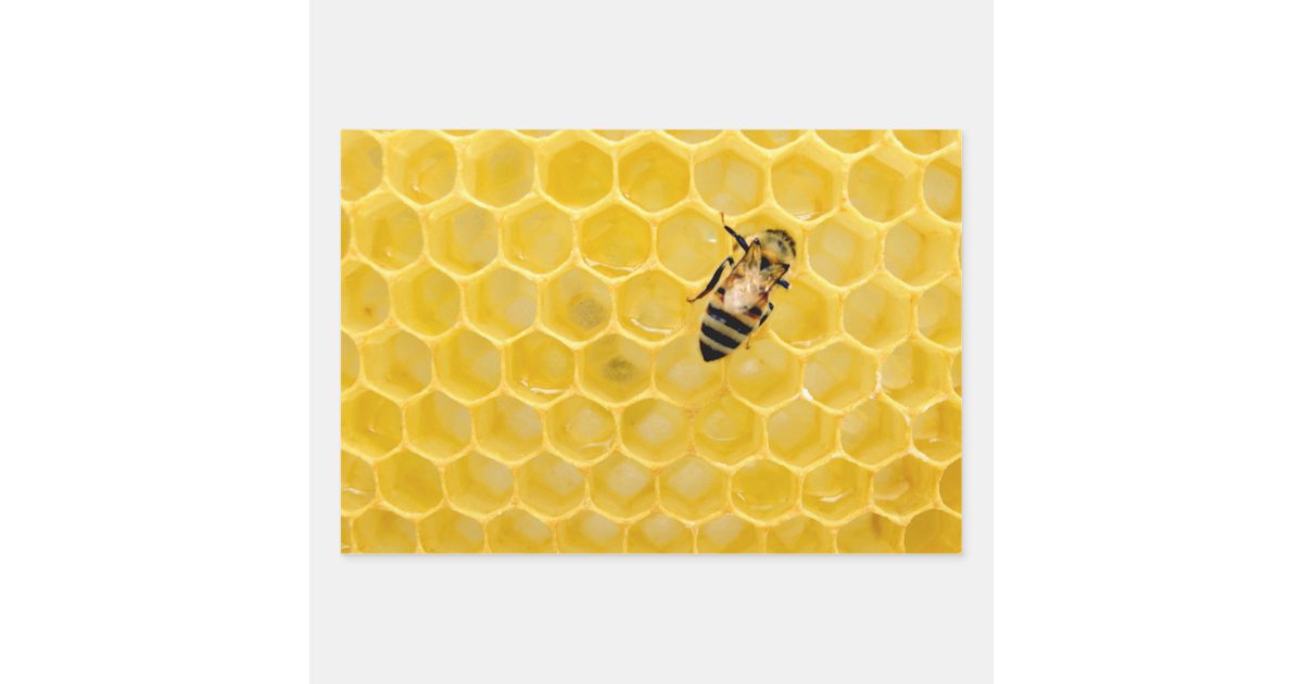 bee and honeycomb wrapping paper sheet | Zazzle