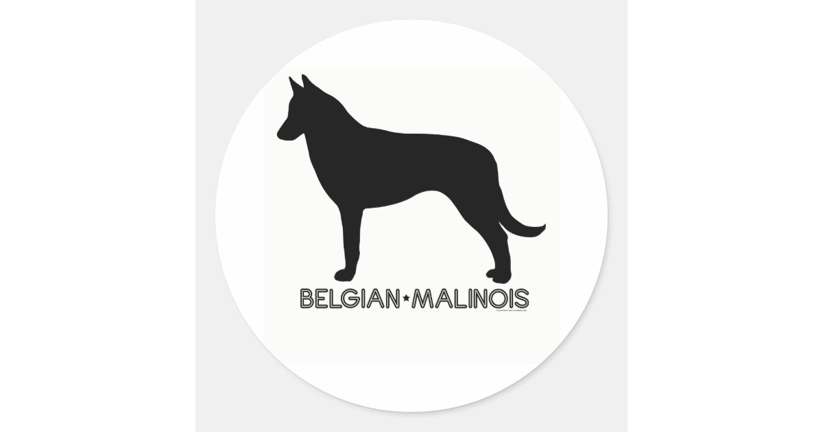 Belgian Malinois Sticker | Zazzle
