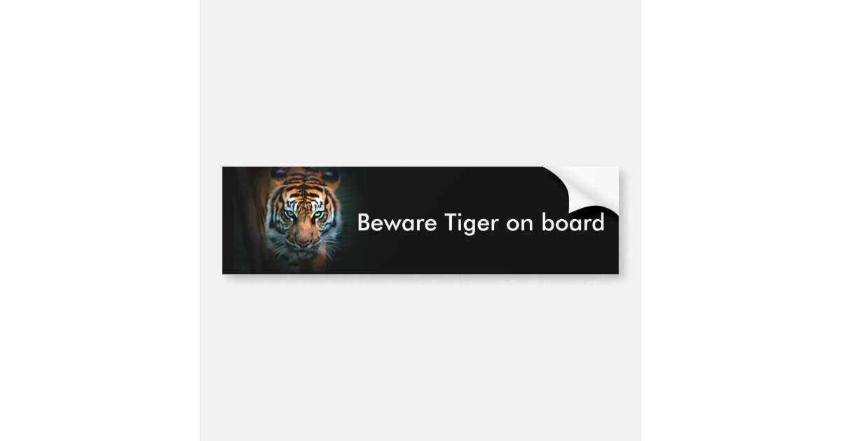 Beware Tiger on board Bumper Sticker | Zazzle