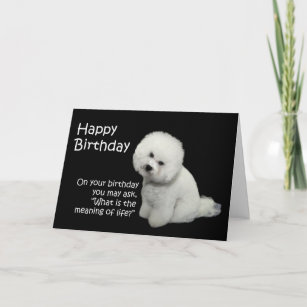 Bichon Frise Cards | Zazzle UK