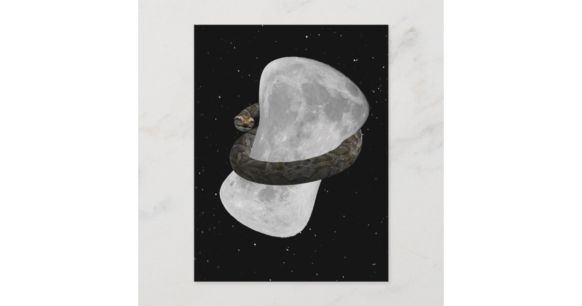 Big Big Hug Postcard | Zazzle