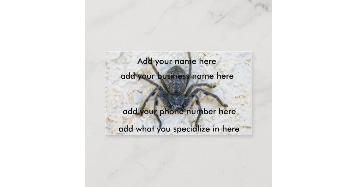 Big Female Huntsman Spider, Business Card | Zazzle