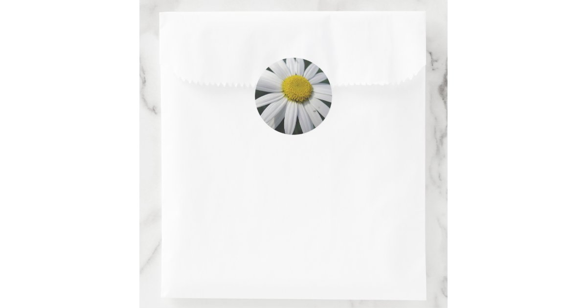 Big White Daisy Classic Round Sticker | Zazzle