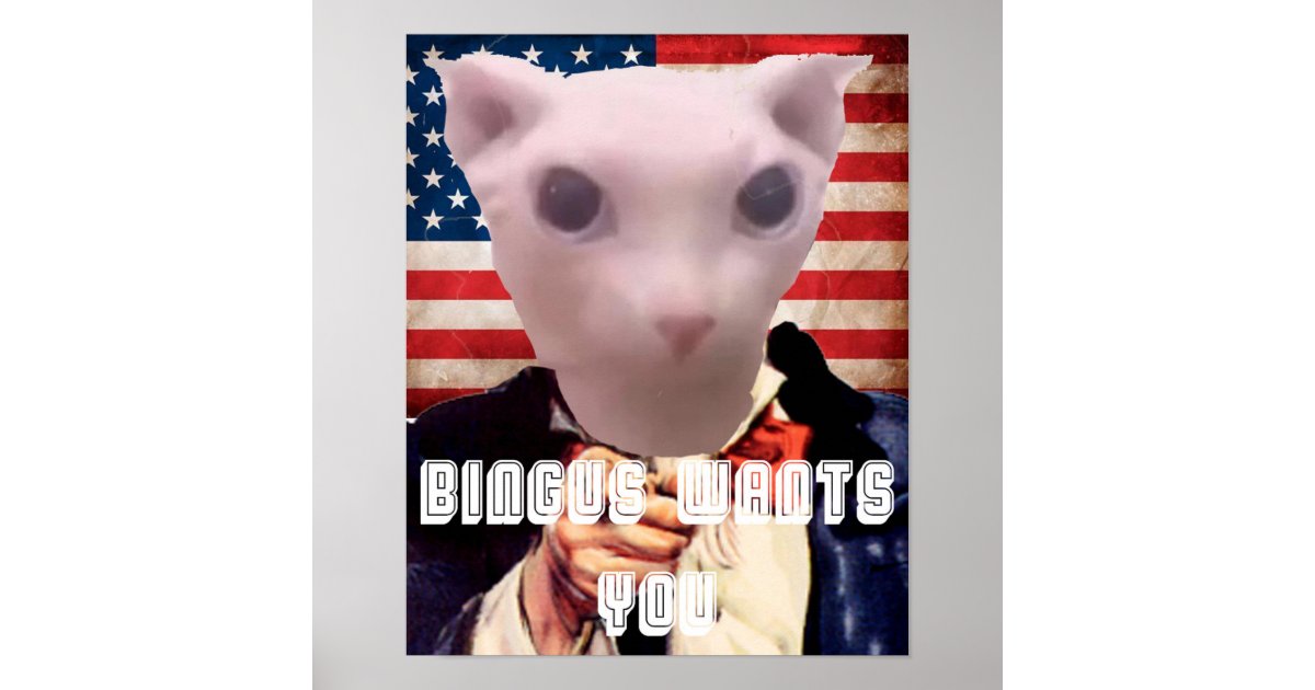BINGUS WANTS YOU POSTER | Zazzle