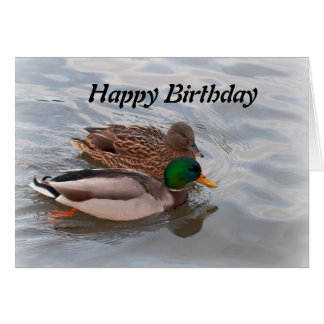 Duck Birthday Cards & Invitations | Zazzle.co.uk
