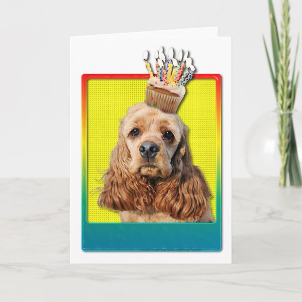 Cocker Spaniel Birthday Cards | Zazzle UK