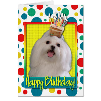 Maltese Birthday Cards & Invitations | Zazzle.co.uk