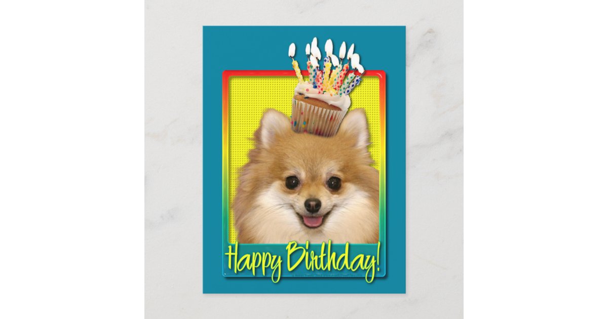Birthday Cupcake Pomeranian Postcard | Zazzle