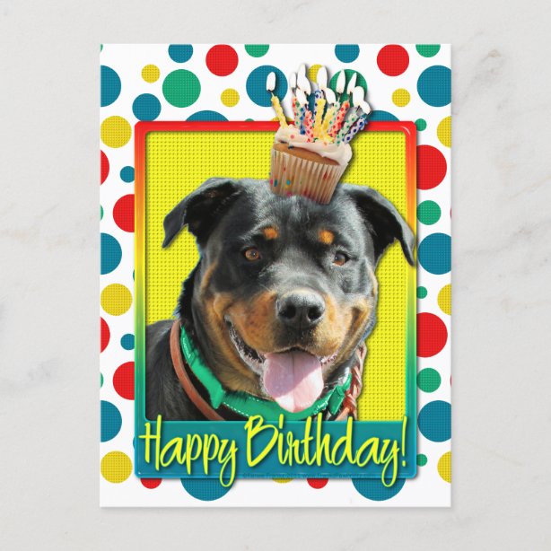 Rottweiler Birthday Cards | Zazzle UK