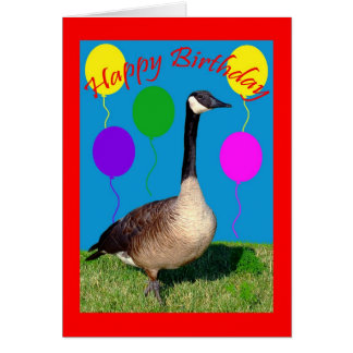 Goose Birthday Cards & Invitations | Zazzle.co.uk