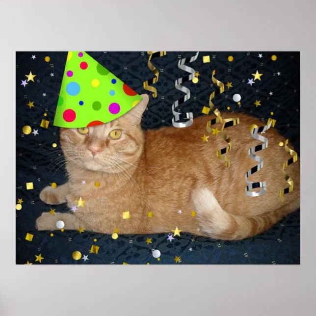 Birthday Party Orange Tabby Cat Poster | Zazzle