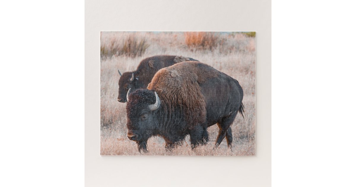 Bison Jigsaw Puzzle | Zazzle