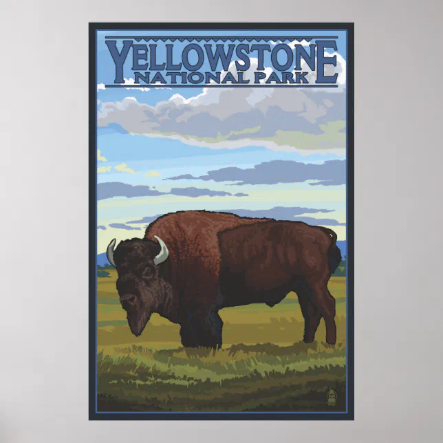 Bison Scene - Yellowstone National Park Poster | Zazzle