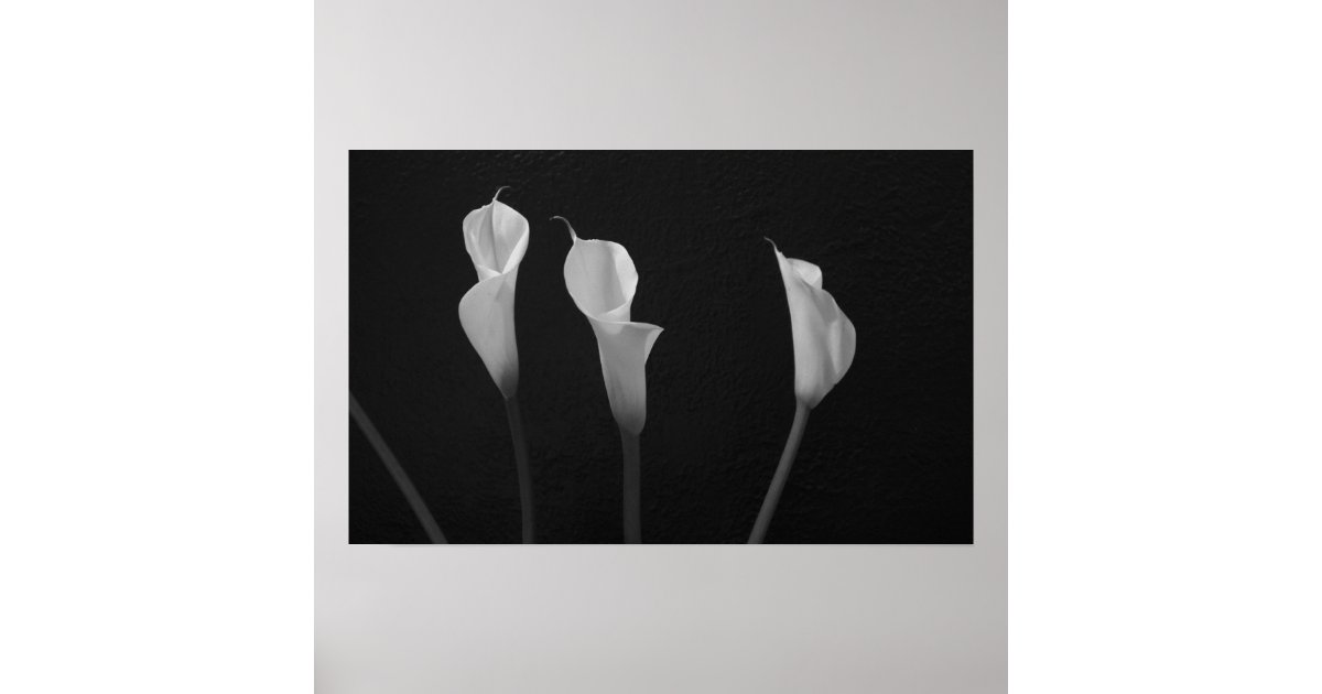 Black and White Flowers Poster | Zazzle