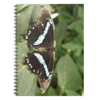 Black Butterfly Notebooks & Journals | Zazzle.co.uk