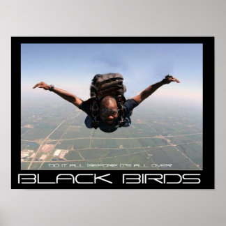 Skydiving Posters | Zazzle.co.uk