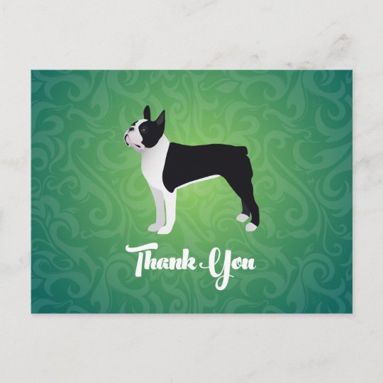 Black Boston Terrier Thank You Note Design Postcard | Zazzle.co.uk