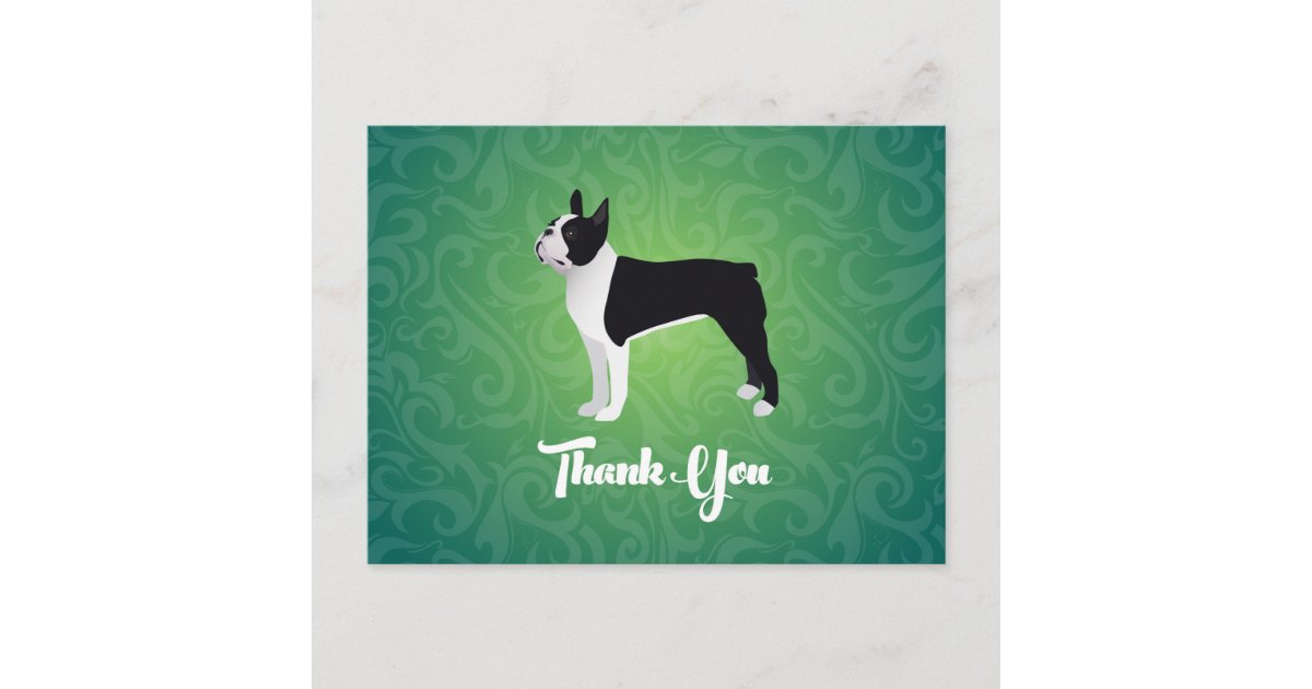 Black Boston Terrier Thank You Note Design Postcard | Zazzle.co.uk