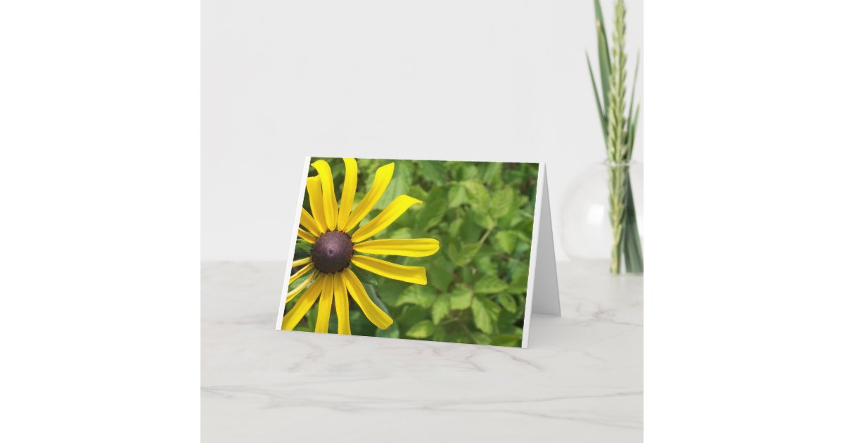 Black-eyed Susan Card | Zazzle