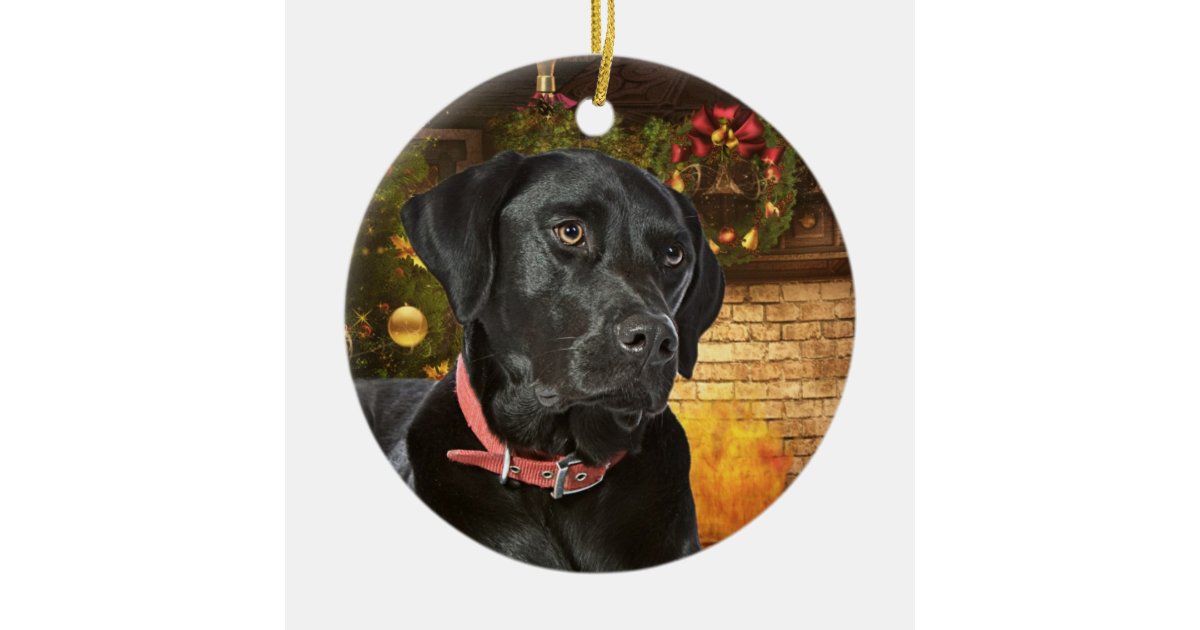 Black Lab Christmas Ornament | Zazzle