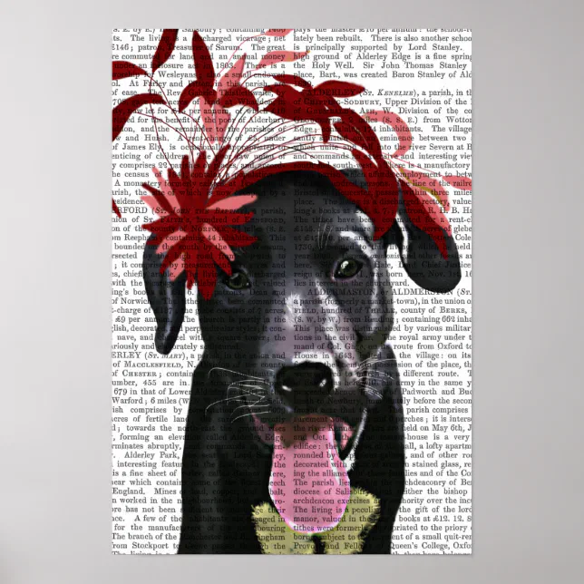 Black Labrador With Red Fascinator Poster | Zazzle