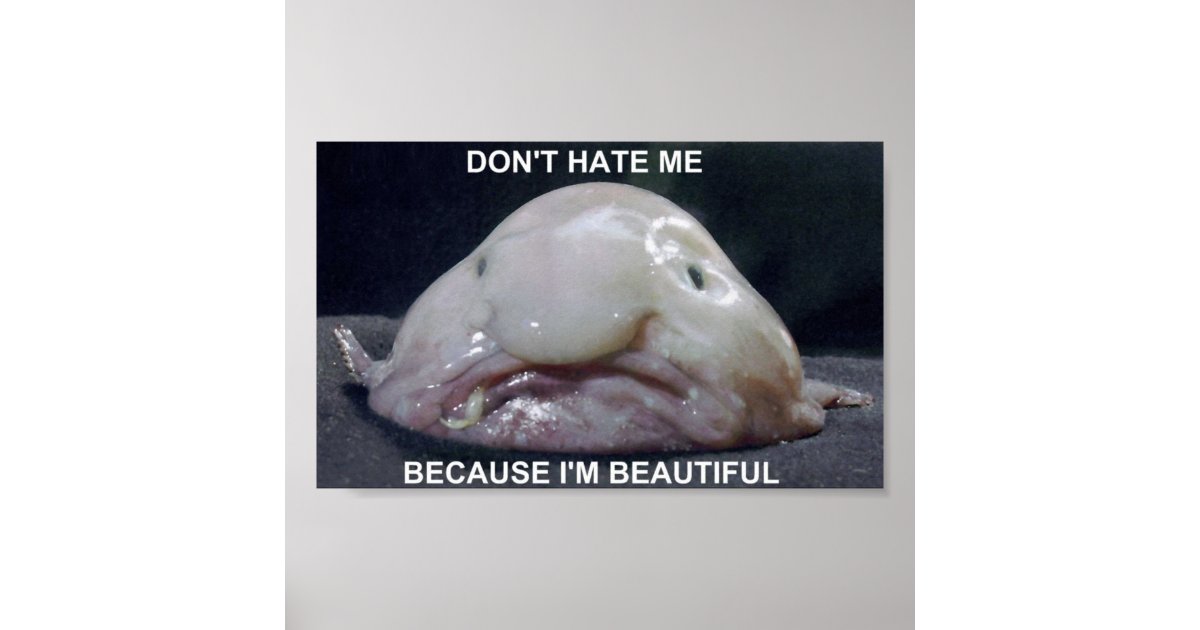 blobfish1 poster | Zazzle