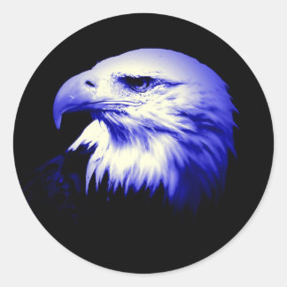 Eagle Eye Stickers | Zazzle.co.uk
