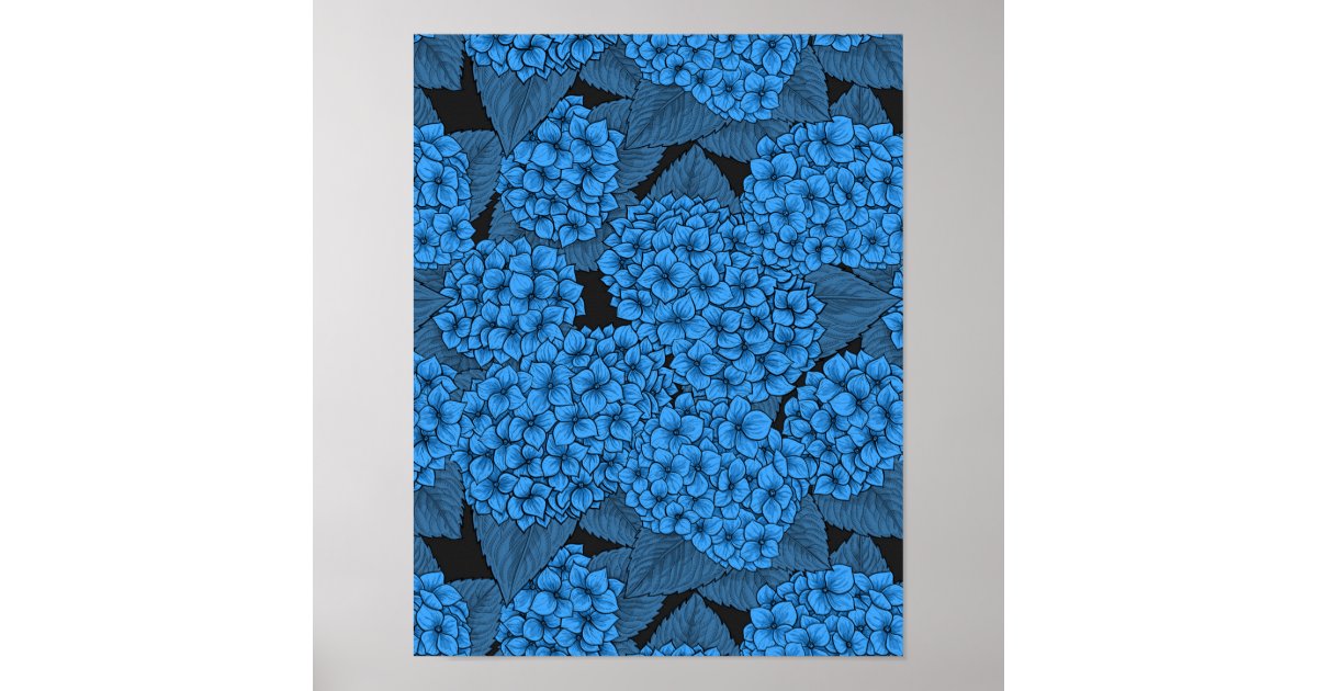 Blue hydrangea poster | Zazzle