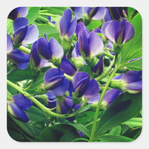 Indigo Stickers & Labels | Zazzle UK